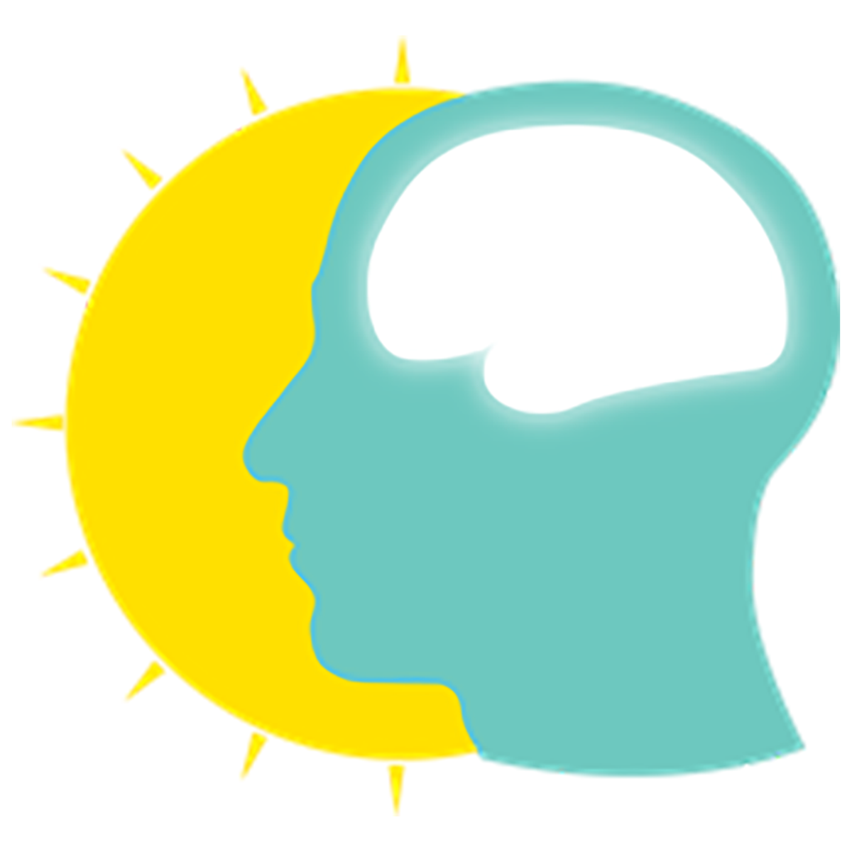 Anim Saha || Portfolio Website